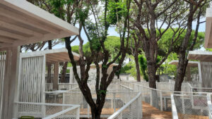 Malibu Beach Camping Village Jesolo